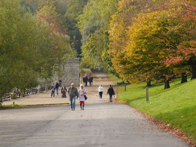 Heritage Open Days: Mote Park Walks