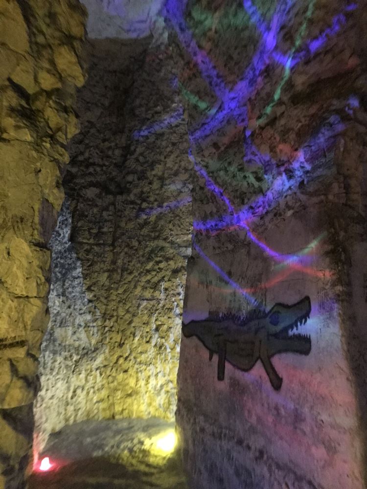 Family Rave in the Caves