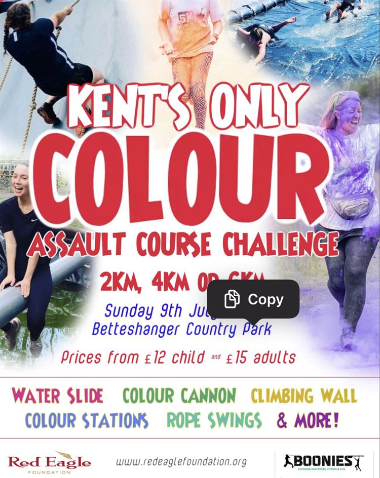 Colour Assault Course Run