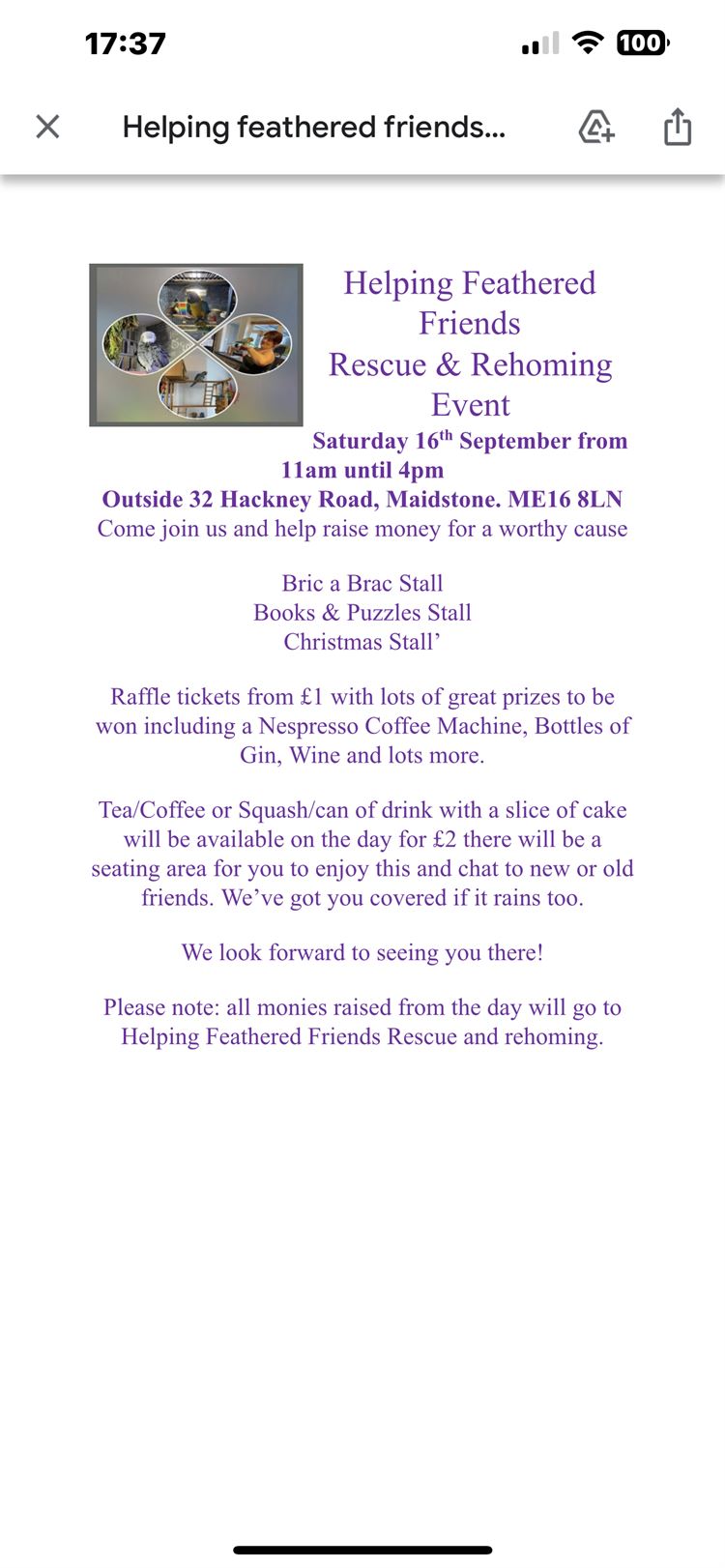 Helping Feathered Friends: Rescue and Rehoming Event