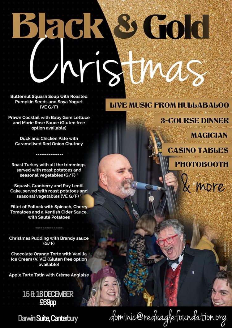 Hullabaloo Christmas Party