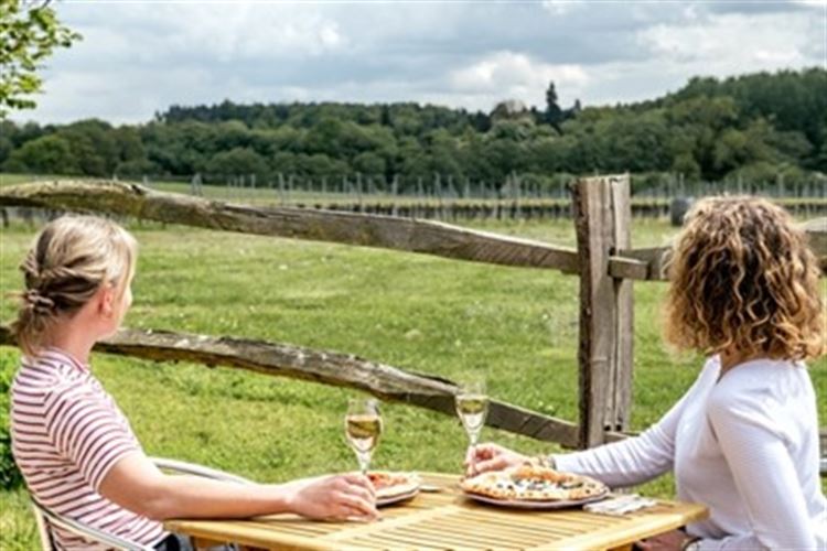 Celebrate English Wine Week at Squerryes Vineyard
