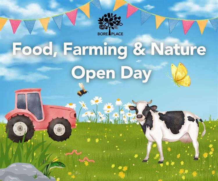 Bore Place Food, Farming & Nature Open Day