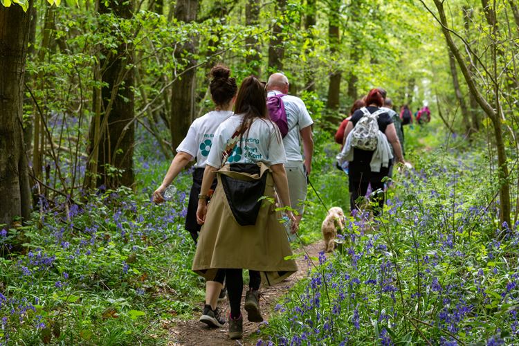 Sponsored Bluebell Walk 2025