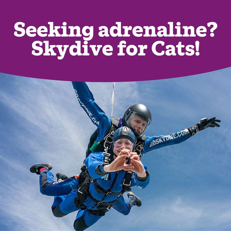 Cats Protection World Animal Day Skydive