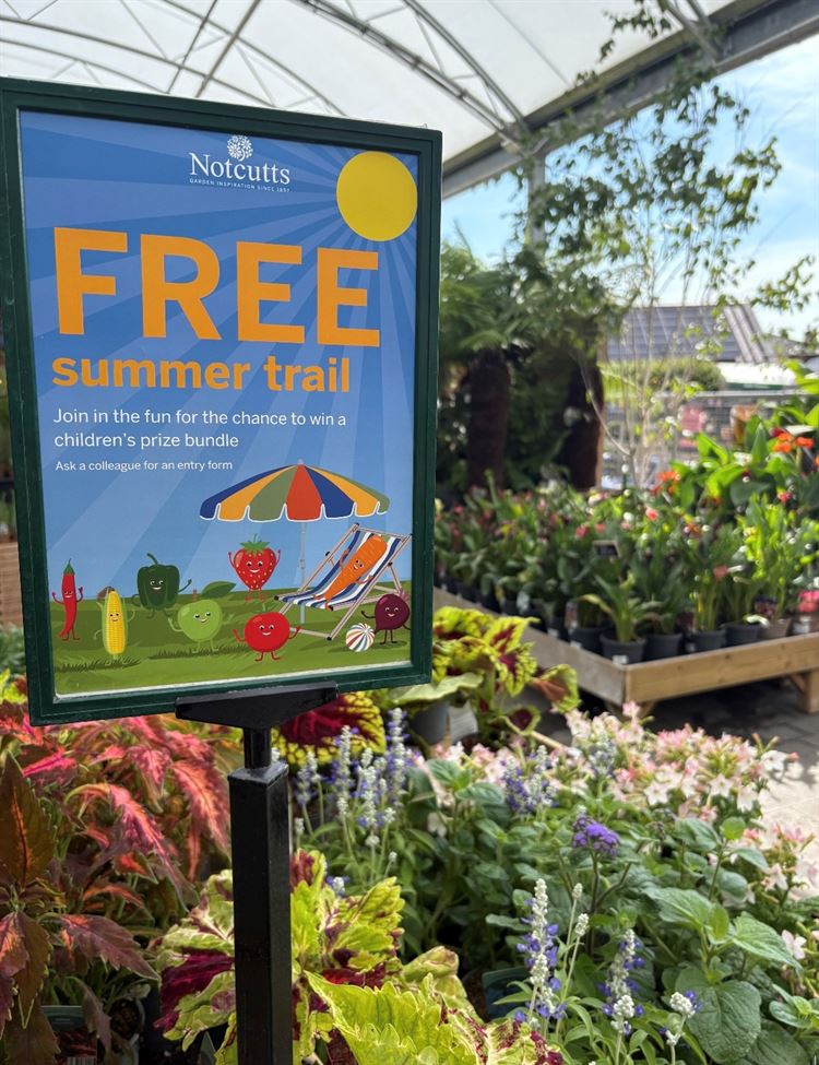 Free Summer Activity Trail at Notcutts Garden Centres in Kent