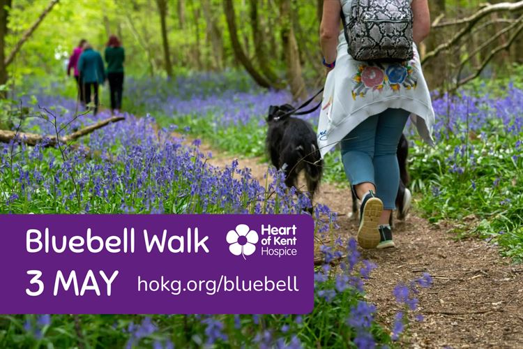 Bluebell Walk